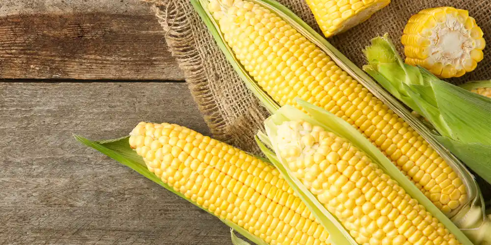 Ads & Coupons | Sanders Markets